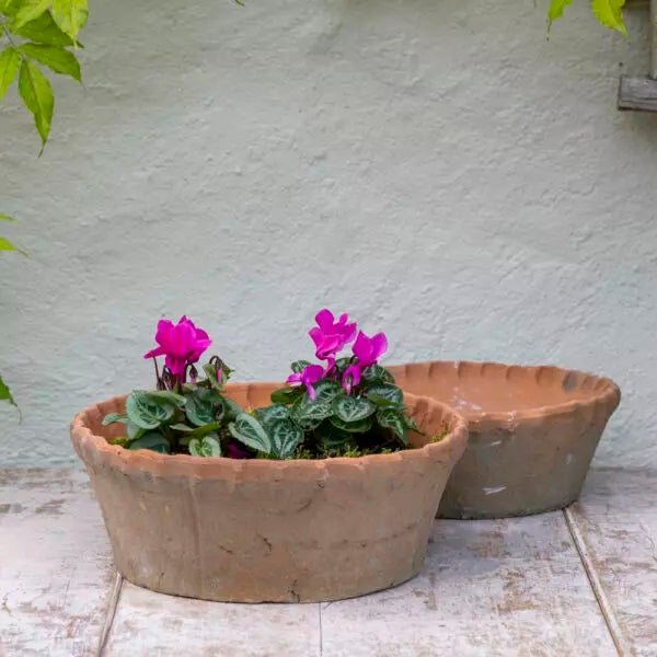 Antiqued Redstone Dish Planter With Pie Crust | Winterbrook Garden ...